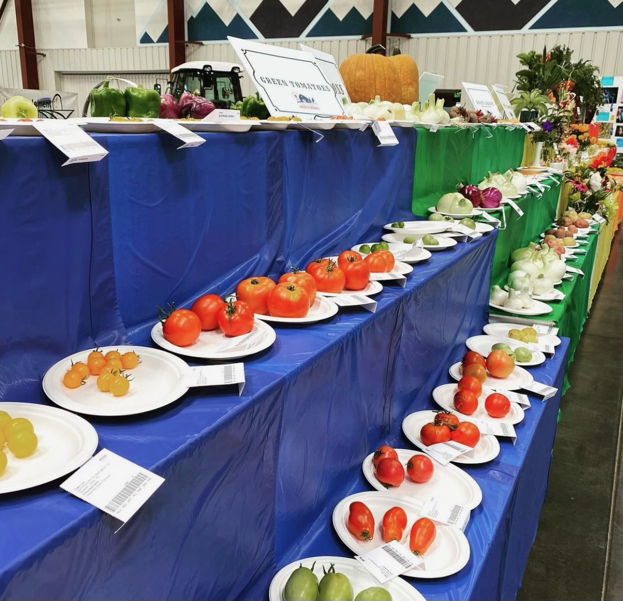 Official Site of Cache County, Utah - Fair & Rodeo