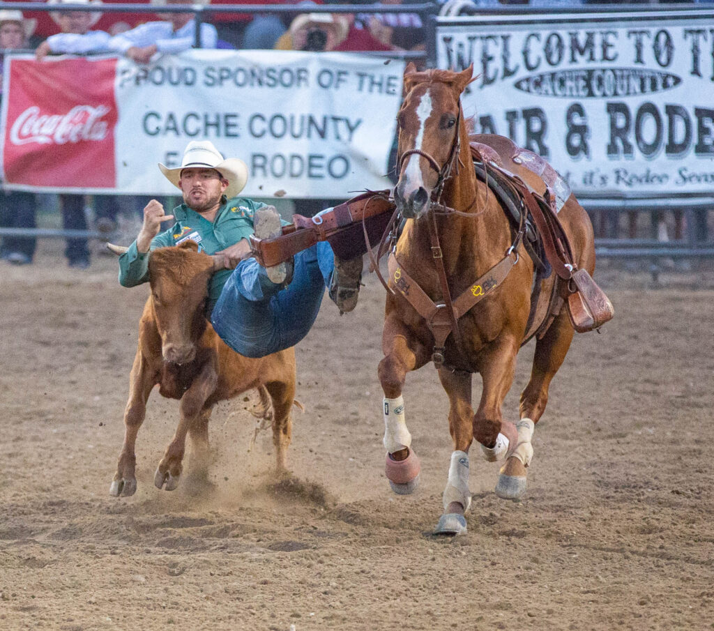 Official Site of Cache County, Utah - PRCA Rodeo