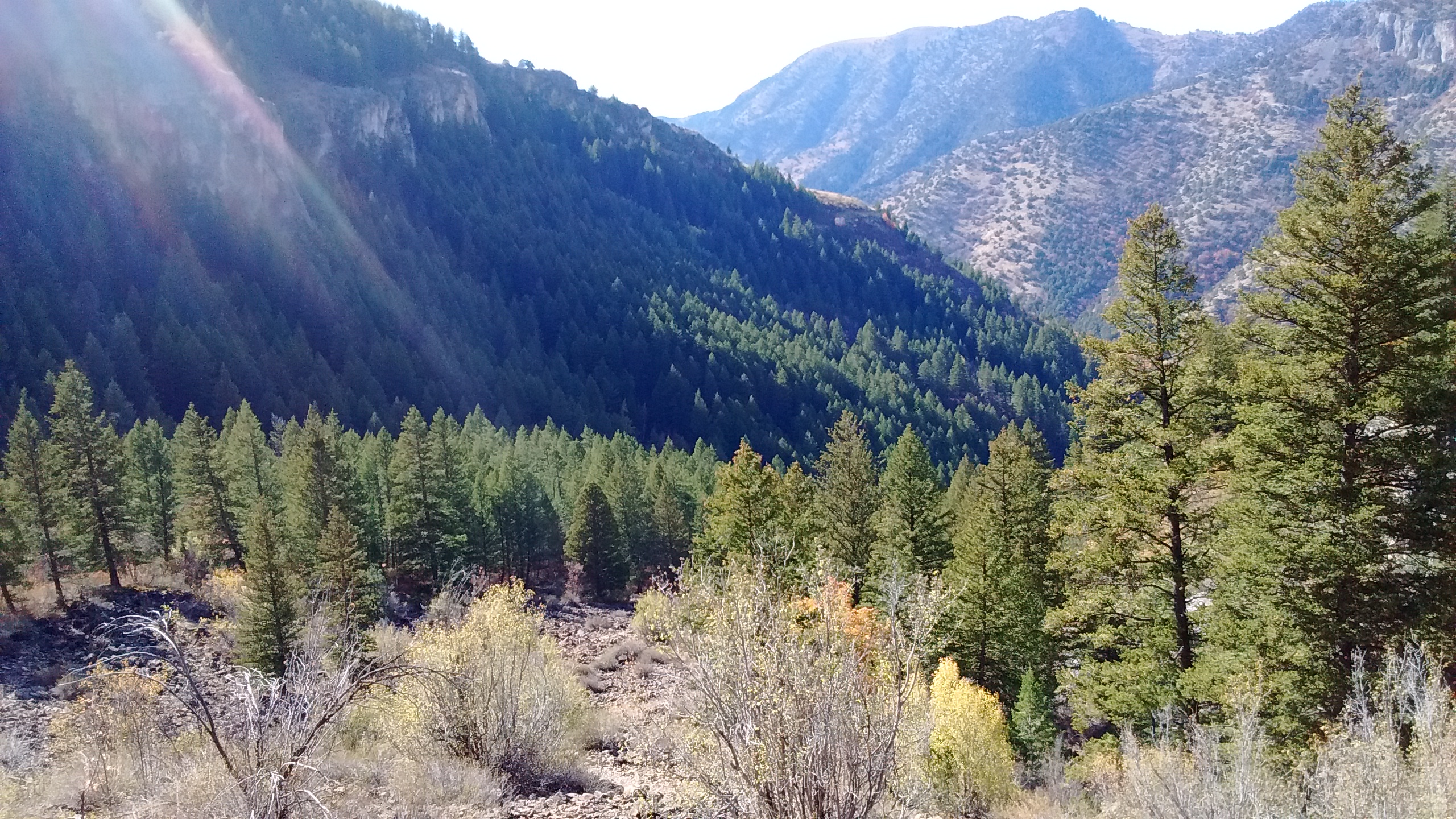 Official Site of Cache County, Utah - Trails News Story